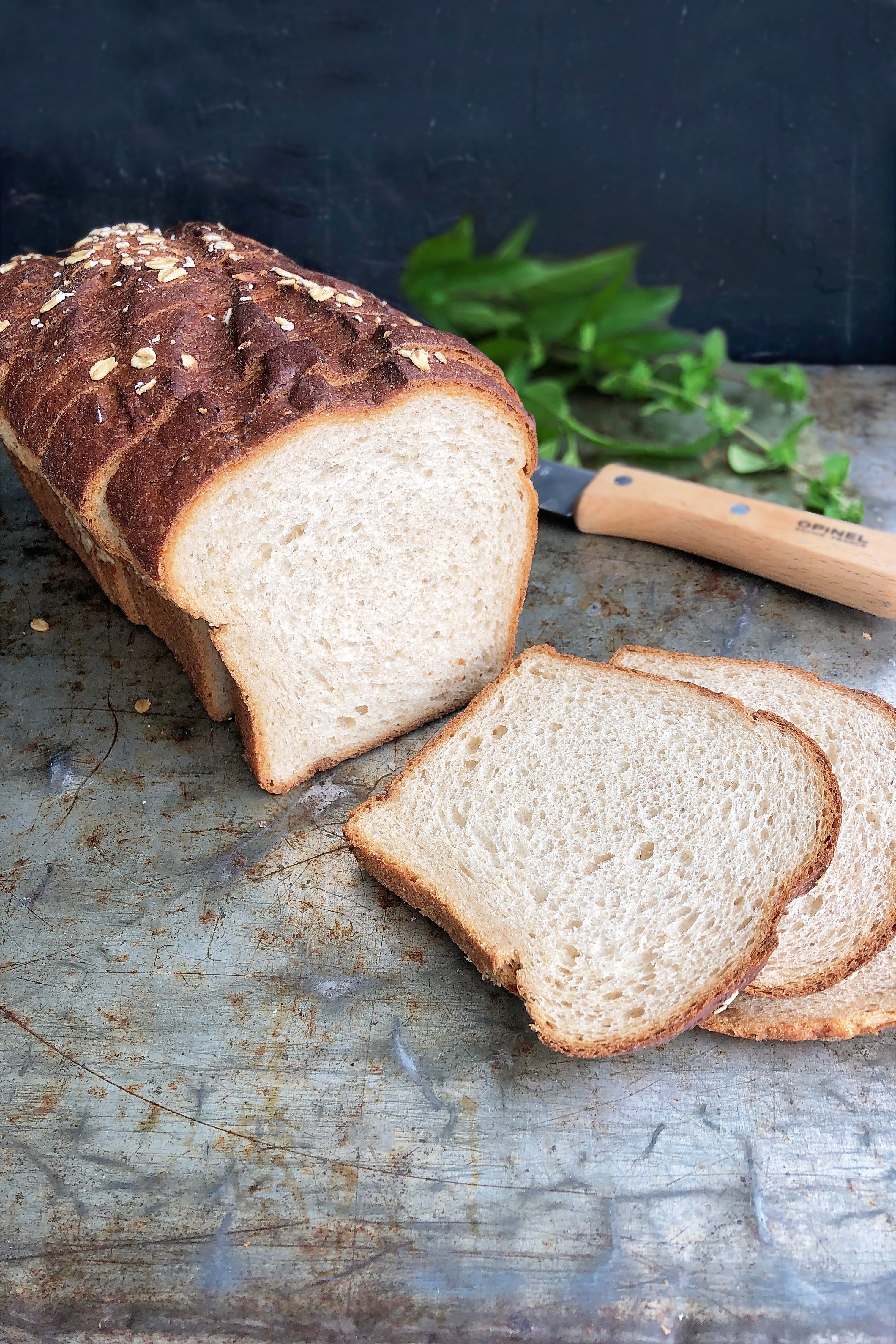Sliced Oatmeal Buttermilk Loaf - 23.7 oz | Macrina Bakery