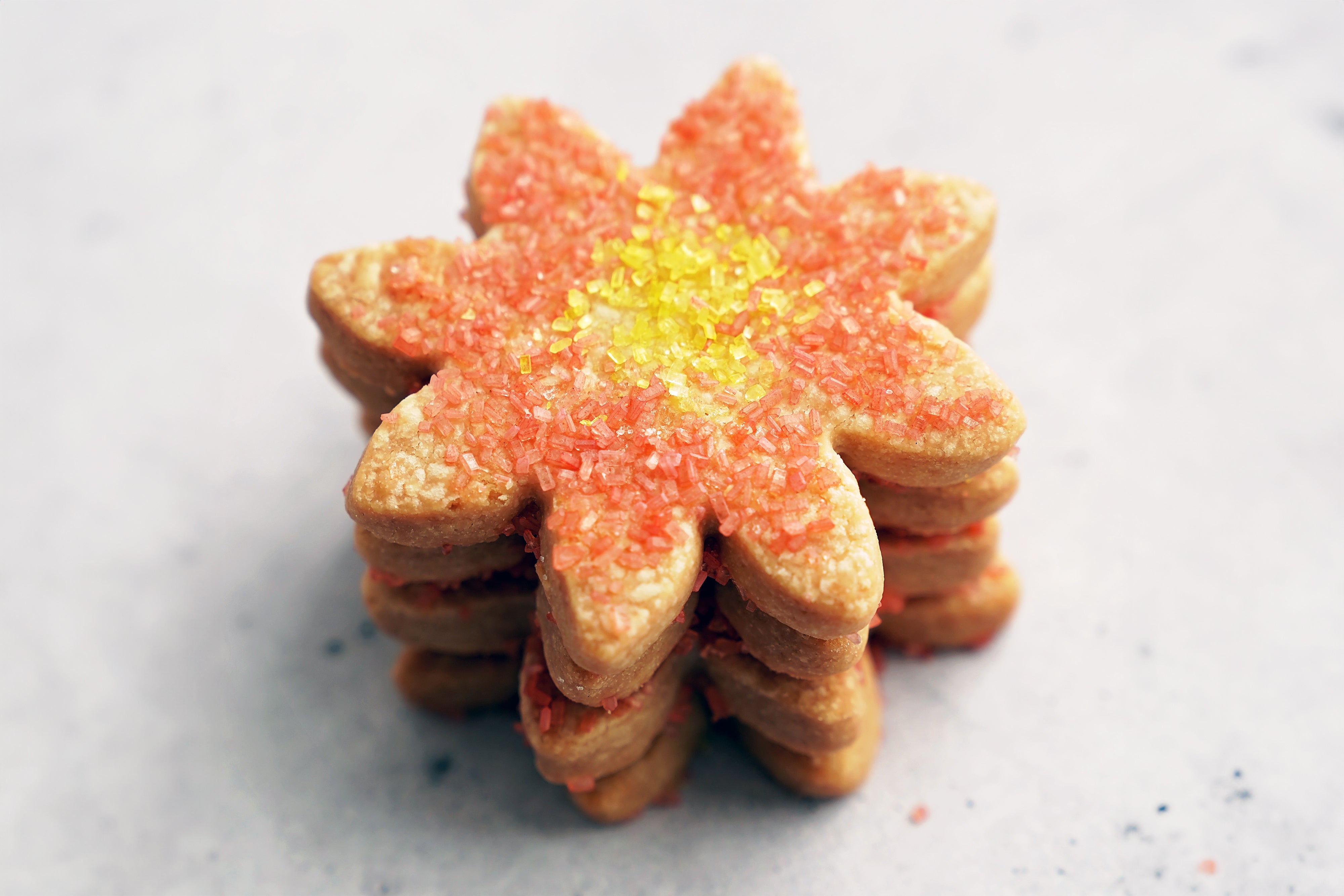 Brown Sugar Shortbread Cookie - 4 pack | Macrina Bakery