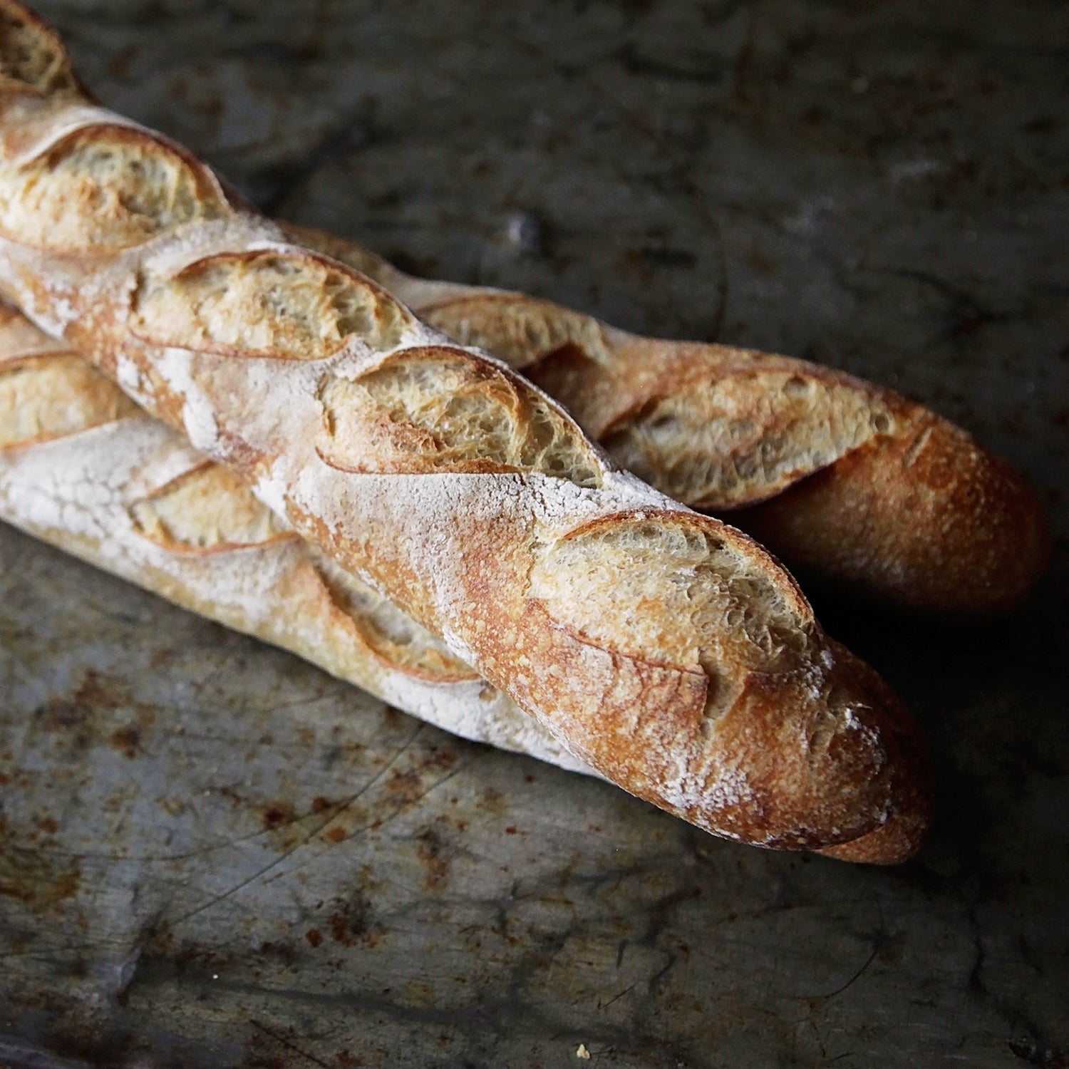 Organic Sour White Ficelle - 7 oz | Macrina Bakery