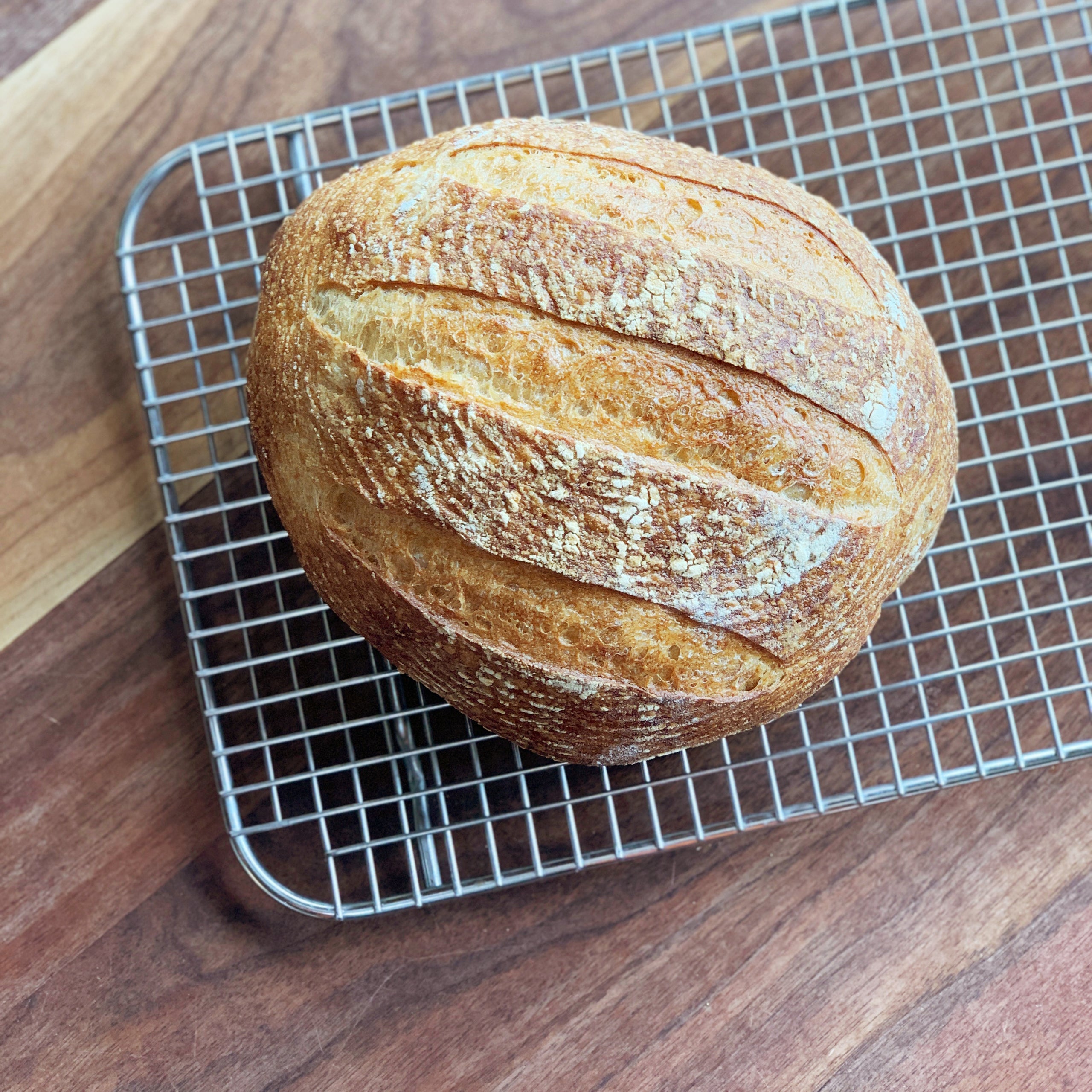 Organic Sour White Loaf | Macrina Bakery